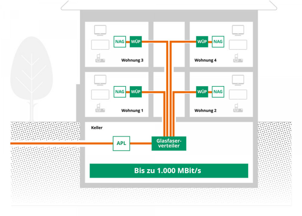 FTTH-Ausbau | Stiegeler